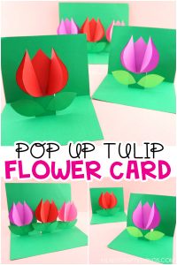 How To Make A Pop Up Flower Card - Easy Spring Tulip Craft For Kids ...
