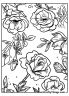 New Beautiful Flower Coloring Pages - 100% Unique (2021)