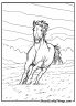 65 Horse Coloring Pages (100% Free Printables)
