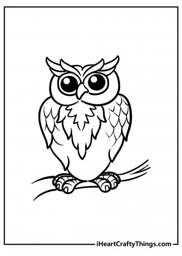 30 Owl Coloring Pages (100% Free Printable PDF)