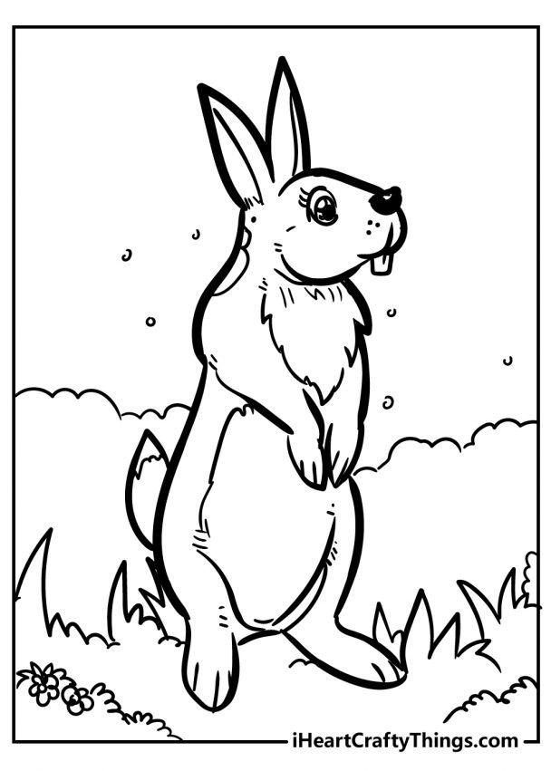 Original And Sweet Rabbit Coloring Pages