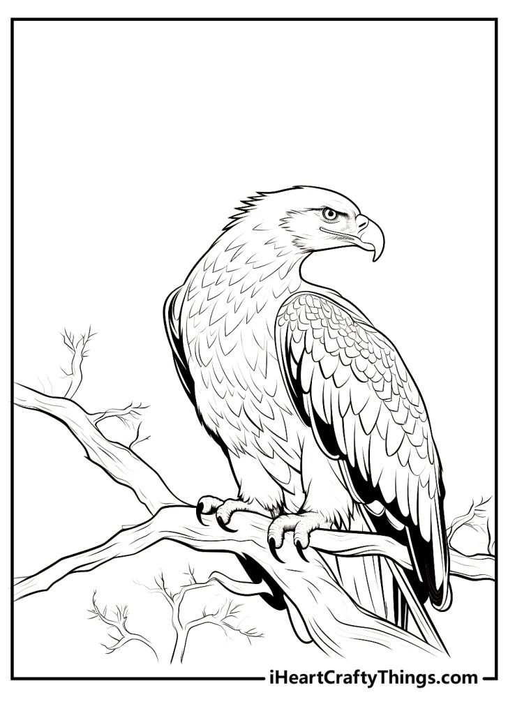 15 Bald Eagle Coloring Pages (100% Free To Download & Print)