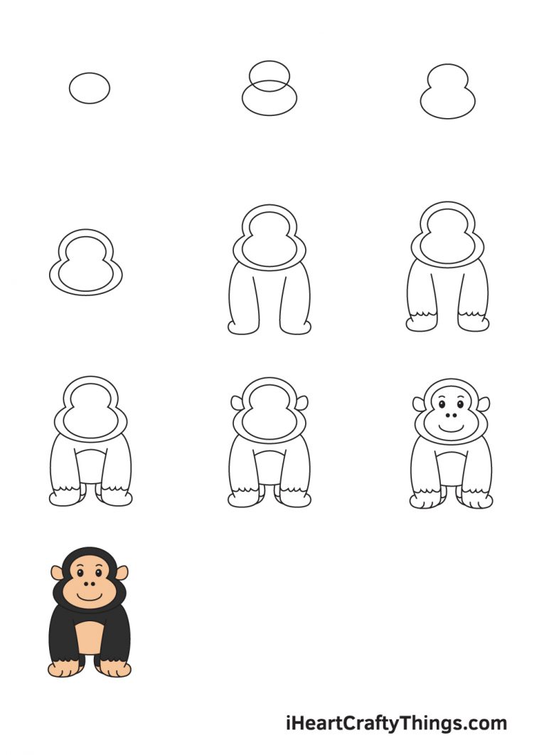 Easy Drawings for a Gorilla Standing Up What Does Gorillas Look Like in ...