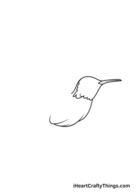 Hummingbird Drawing — How To Draw A Hummingbird Step By Step