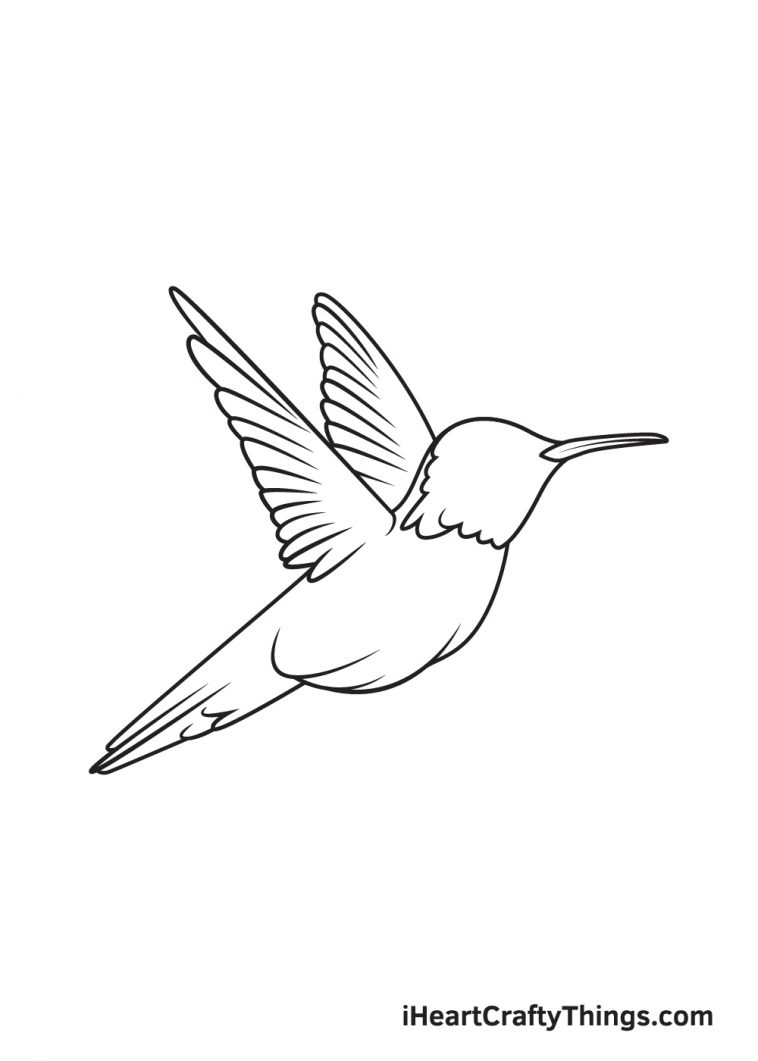 Hummingbird Drawing — How To Draw A Hummingbird Step By Step
