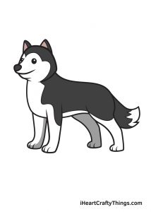 Husky Drawing - How To Draw A Husky Step By Step