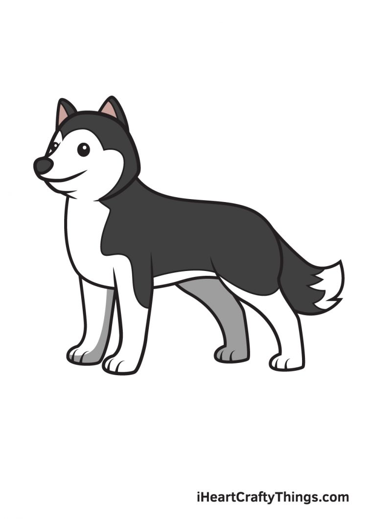 Husky Drawing - How To Draw A Husky Step By Step