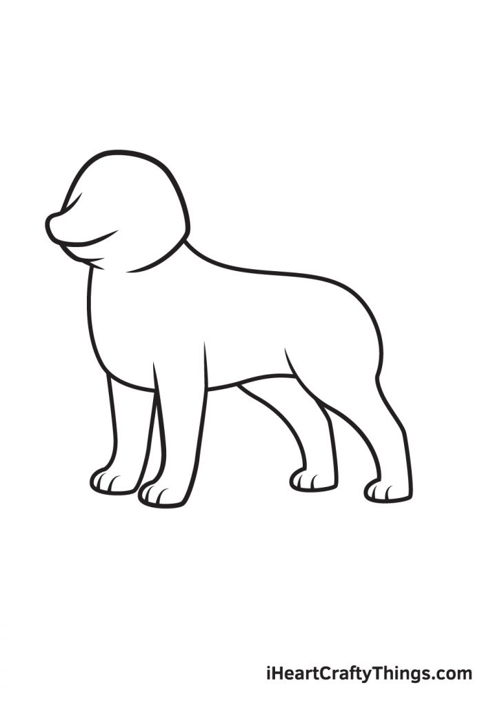 Husky Drawing - How To Draw A Husky Step By Step