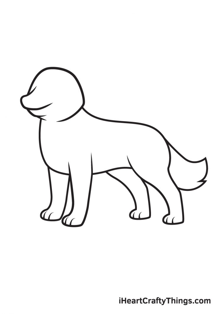 Husky Drawing - How To Draw A Husky Step By Step