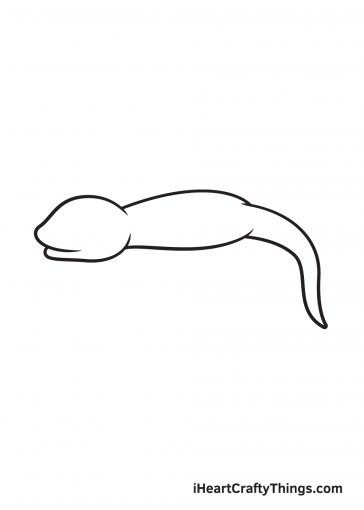 Lizard Drawing - How To Draw A Lizard Step By Step