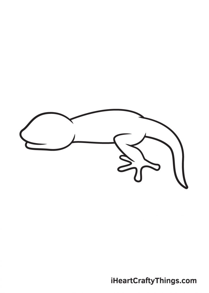 Lizard Drawing - How To Draw A Lizard Step By Step