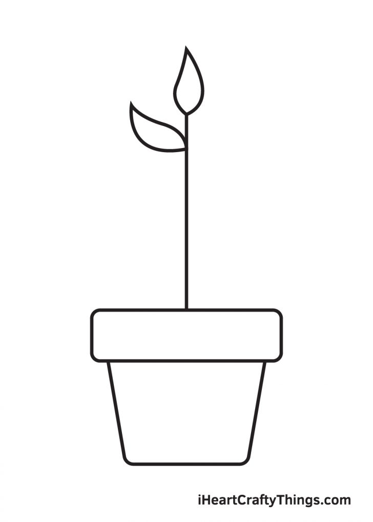 Plant Drawing - How To Draw A Plant Step By Step