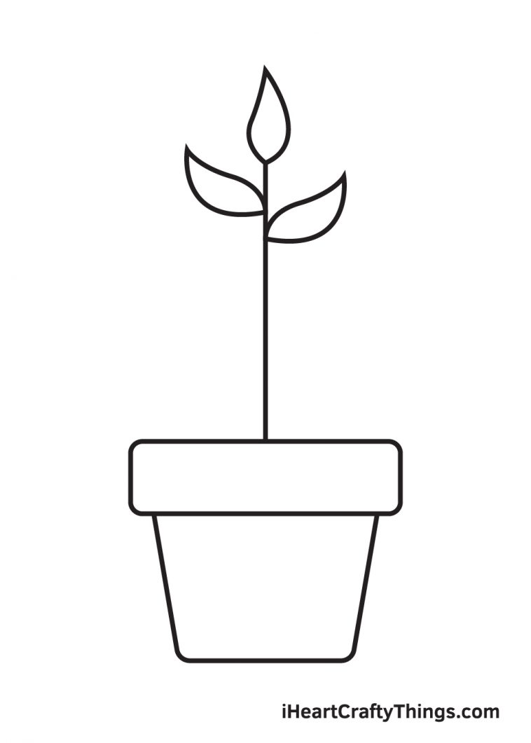 Plant Drawing - How To Draw A Plant Step By Step