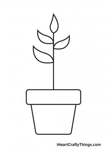 Plant Drawing - How To Draw A Plant Step By Step