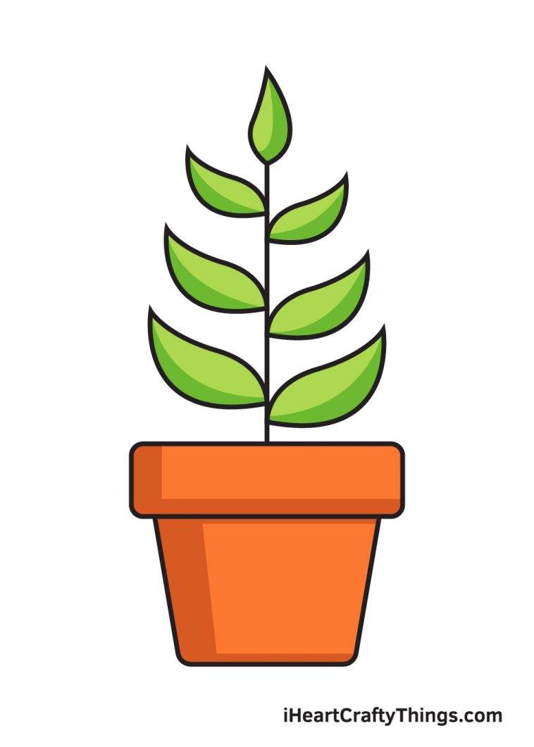 Plant Drawing How To Draw A Plant Step By Step Plant Drawing How To Draw A Plant Step By Step