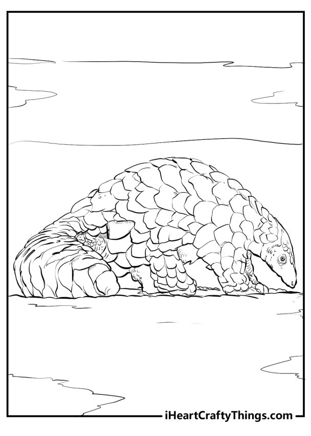 15 Realistic Animals Coloring Pages (100% Free Printables)