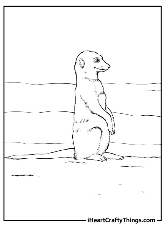 15 Realistic Animals Coloring Pages (100% Free Printables)