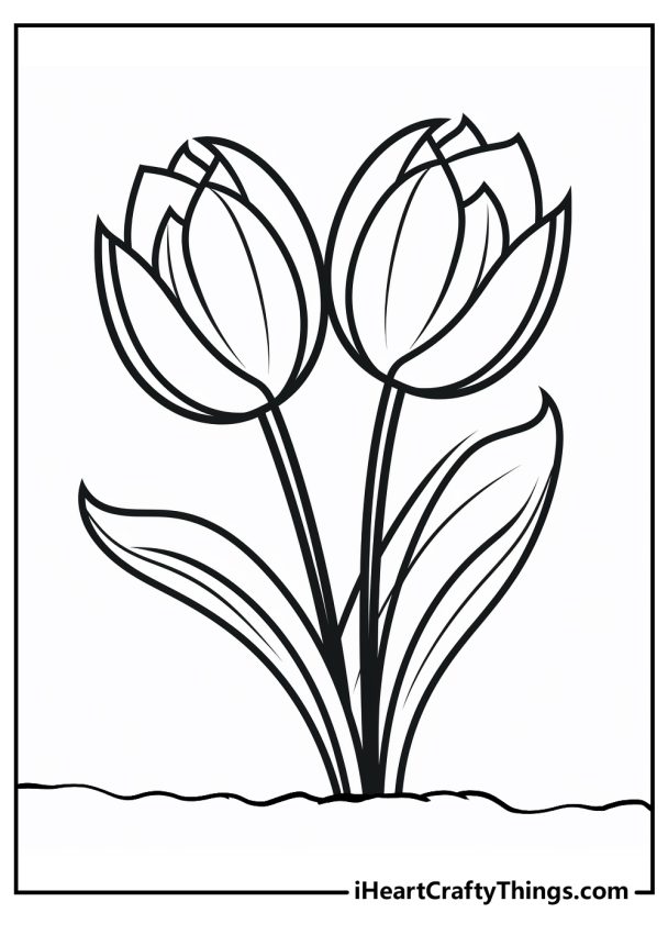 15 Tulip Coloring Pages: 100% Free To Download Printables