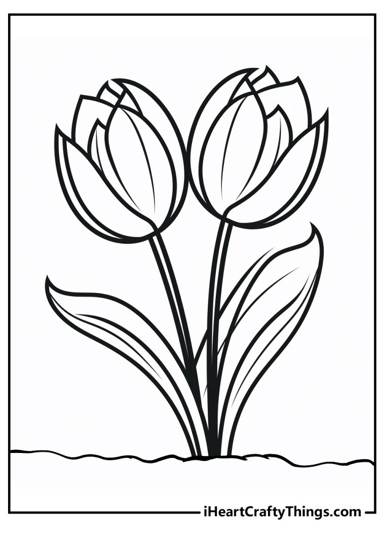 15 Tulip Coloring Pages: 100% Free To Download Printables