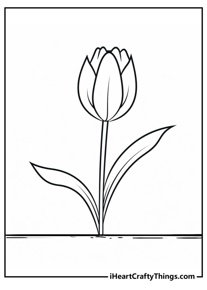 15 Tulip Coloring Pages: 100% Free To Download Printables