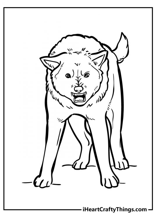 Free Wolf Coloring Pages (39+ Easy Printable PDF Sheets)