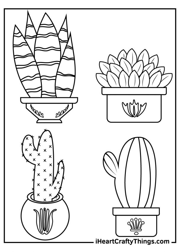 15 Cactus Coloring Pages (Printable Cute PDFs For Free)
