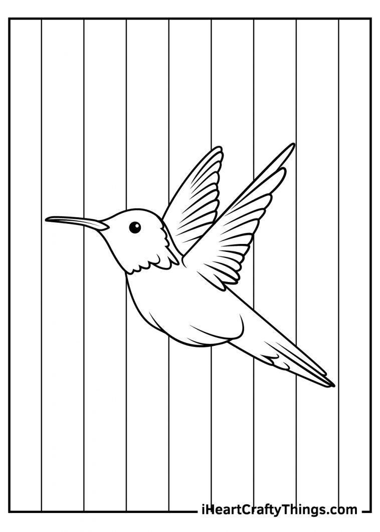 Hummingbird Coloring Pages (100% Free Printables)