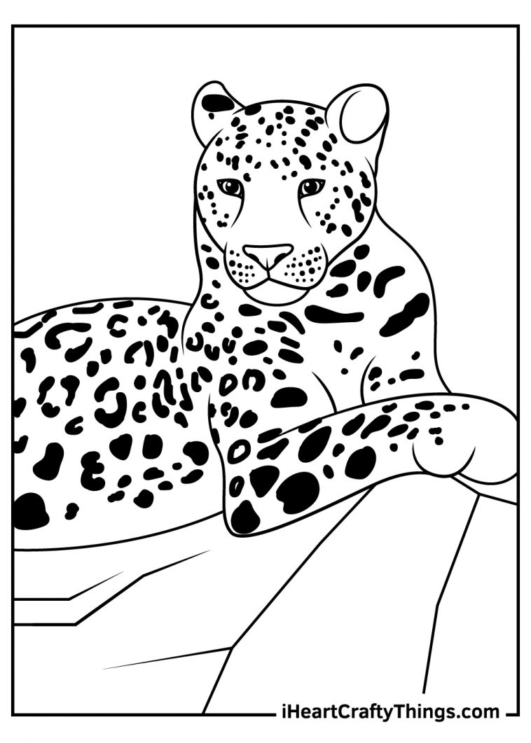 19 Leopard Coloring Pages (100% Free Printables)
