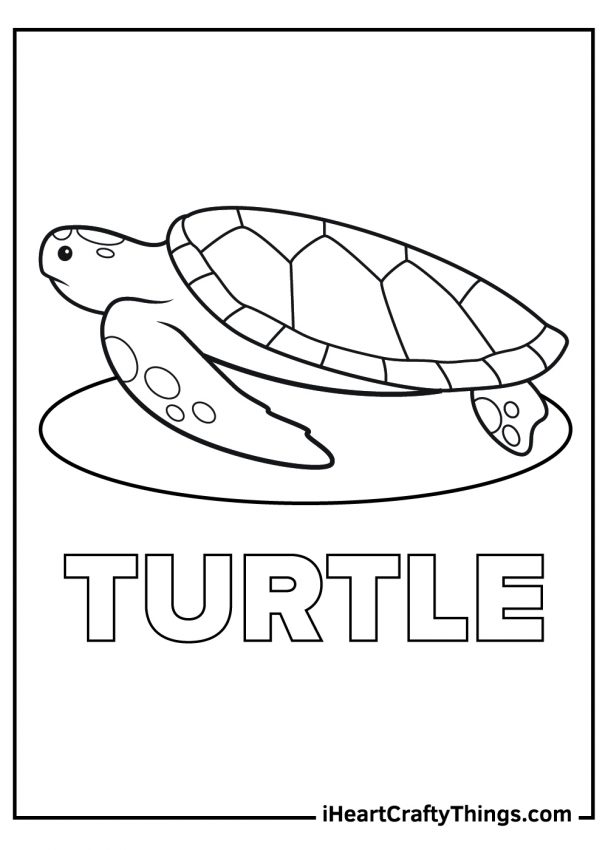 21 Sea Turtle Coloring Pages (100% Free Printables)