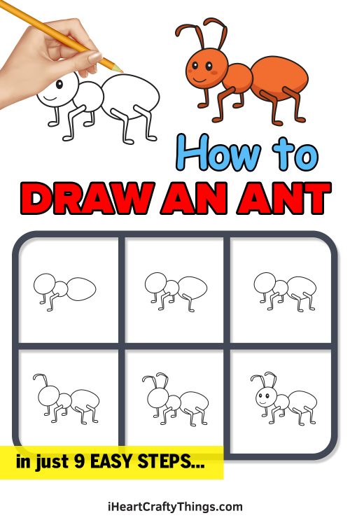 Ant Drawing - How To Draw An Ant Step By Step