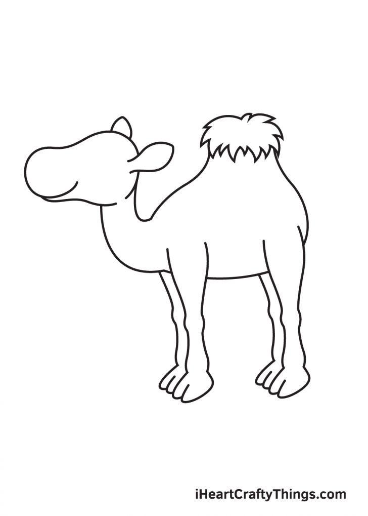 Camel Drawing - How To Draw A Camel Step By Step