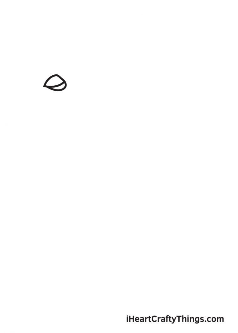 Cardinal Drawing - How To Draw A Cardinal Step By Step