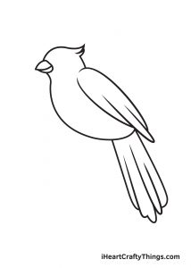 Cardinal Drawing - How To Draw A Cardinal Step By Step