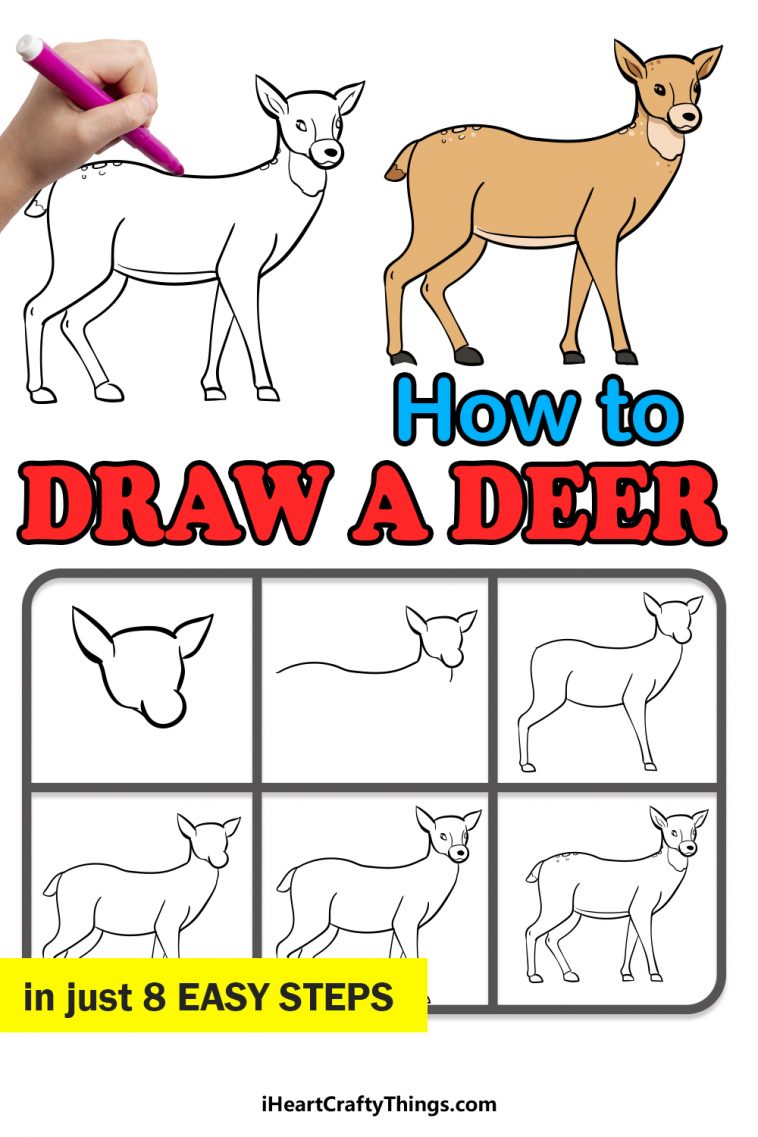 Easy Deer Drawing: How To Draw A Deer Step By Step For Kids!
