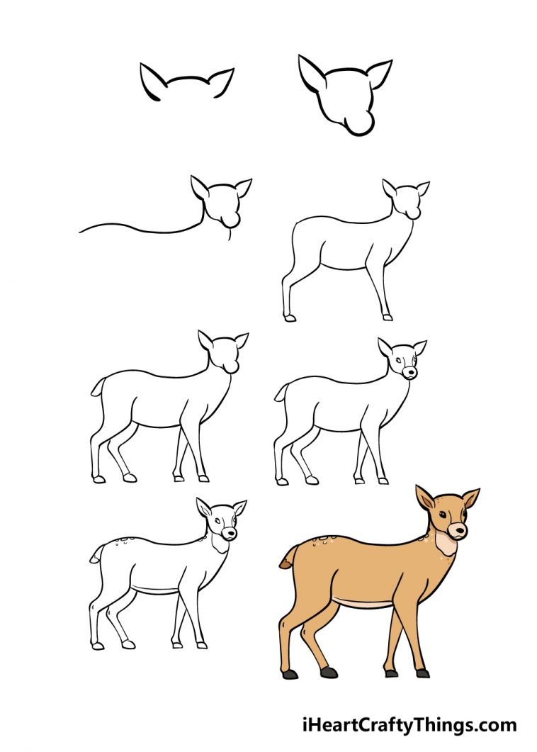 Easy Deer Drawing: How To Draw A Deer Step By Step For Kids!