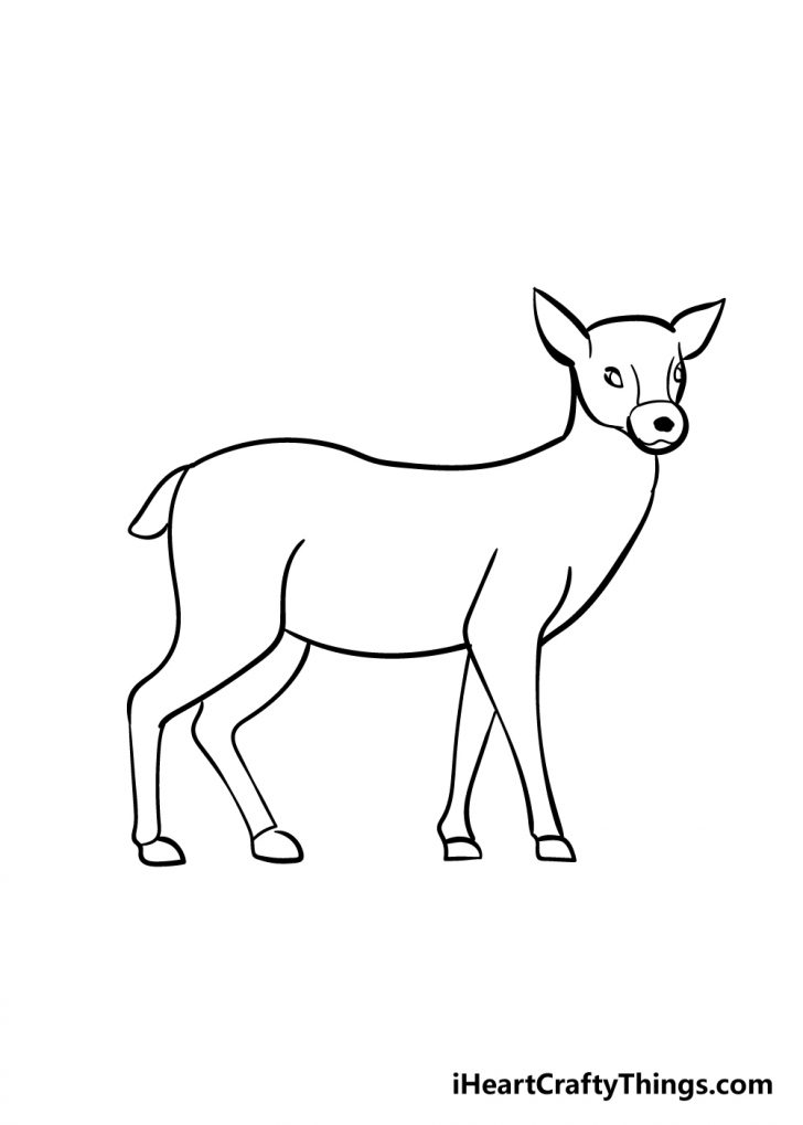 Easy Deer Drawing: How To Draw A Deer Step By Step For Kids!
