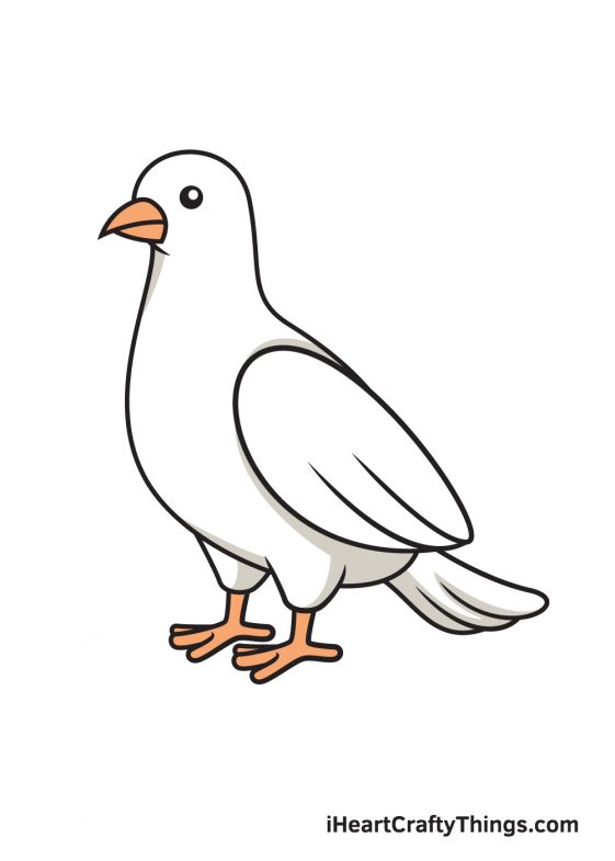 Dove Drawing - How To Draw A Dove Step By Step