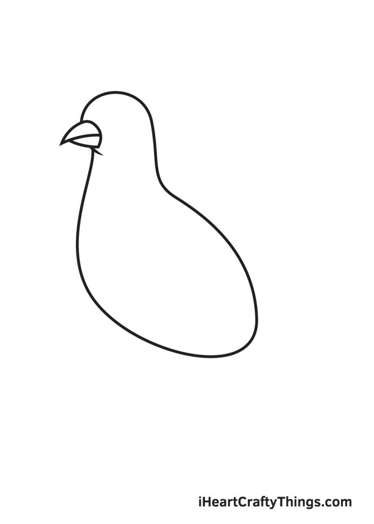 Dove Drawing - How To Draw A Dove Step By Step