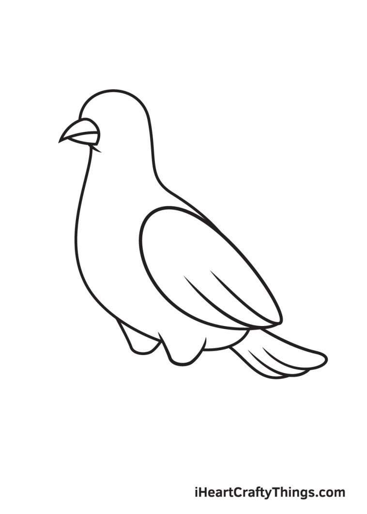Dove Drawing - How To Draw A Dove Step By Step