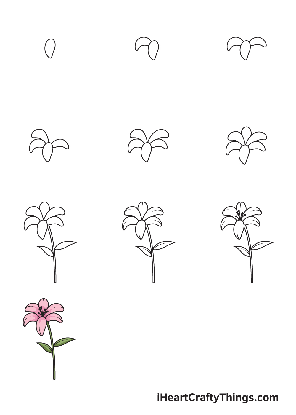 How To Draw Lily Art For Kids Hub Lopez Triated