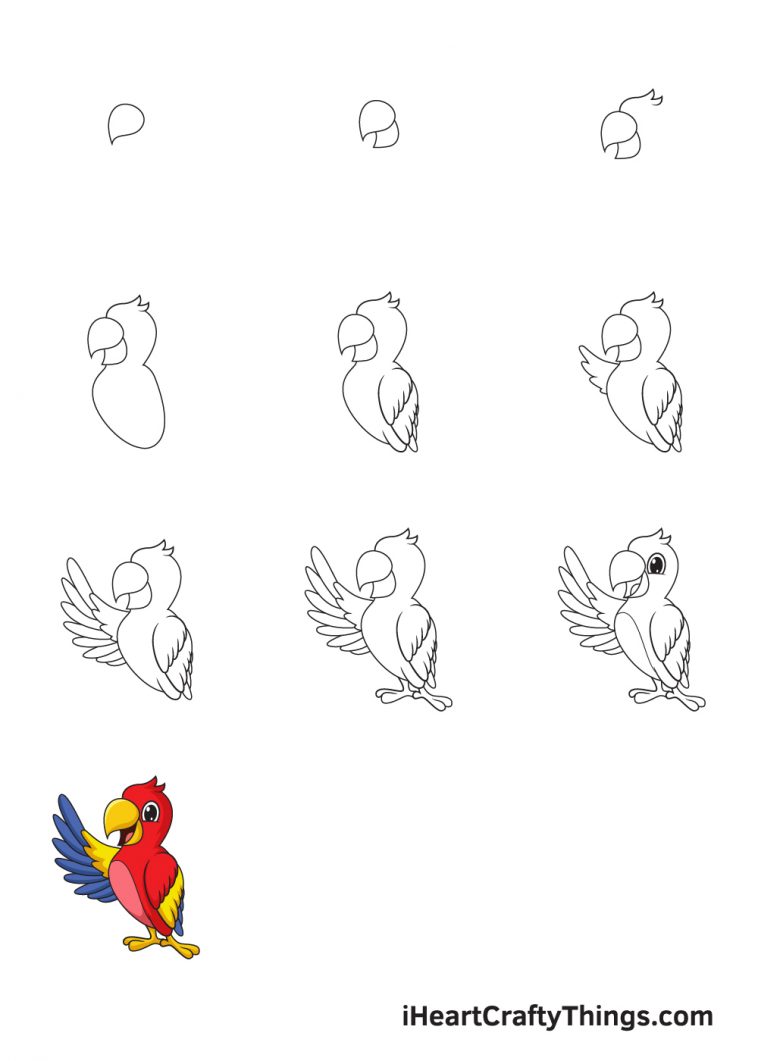 Parrot Drawing - How To Draw A Parrot Step By Step