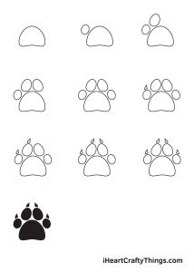 Paw Print Drawing - How To Draw A Paw Print Step By Step