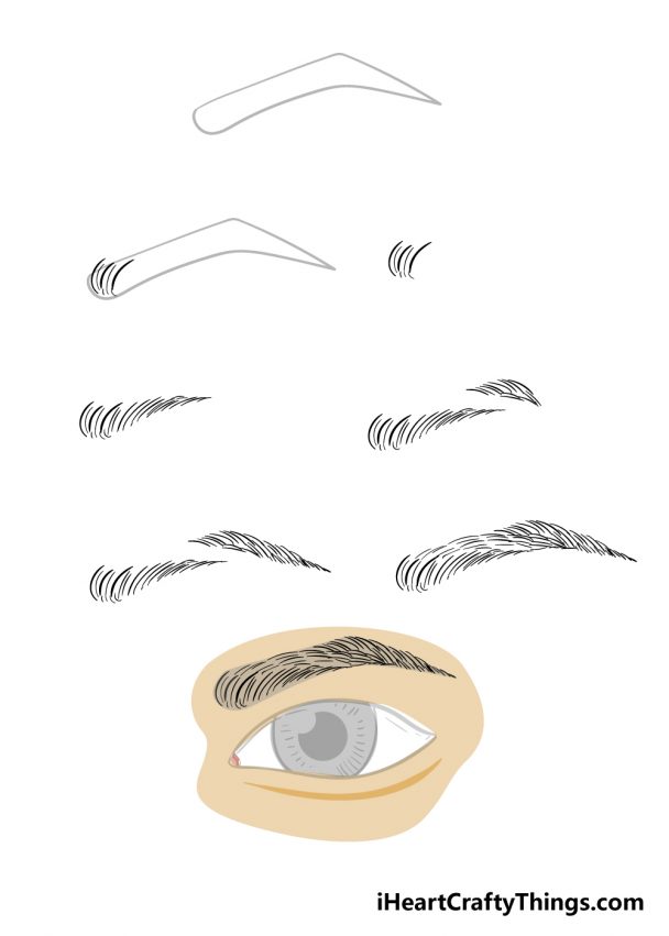 Eyebrow Drawing - How To Draw An Eyebrow Step By Step