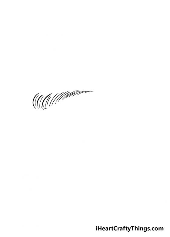 Eyebrow Drawing - How To Draw An Eyebrow Step By Step