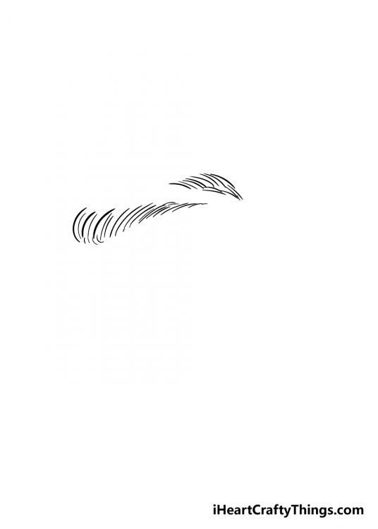 Eyebrow Drawing - How To Draw An Eyebrow Step By Step