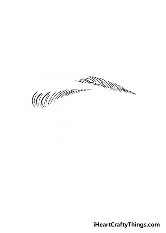 Eyebrow Drawing - How To Draw An Eyebrow Step By Step