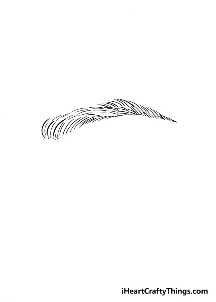 Eyebrow Drawing - How To Draw An Eyebrow Step By Step