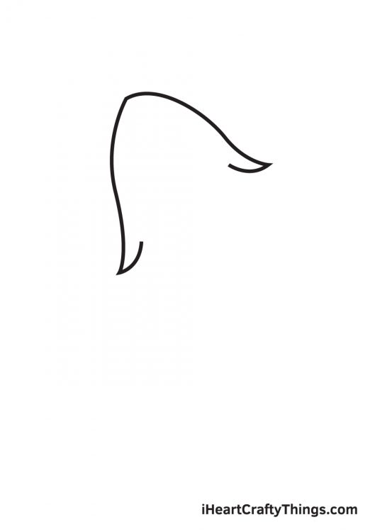 Fur Drawing - How To Draw A Fur Step By Step