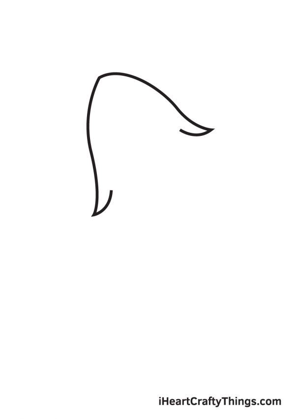 Fur Drawing - How To Draw A Fur Step By Step