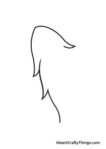 Fur Drawing - How To Draw A Fur Step By Step